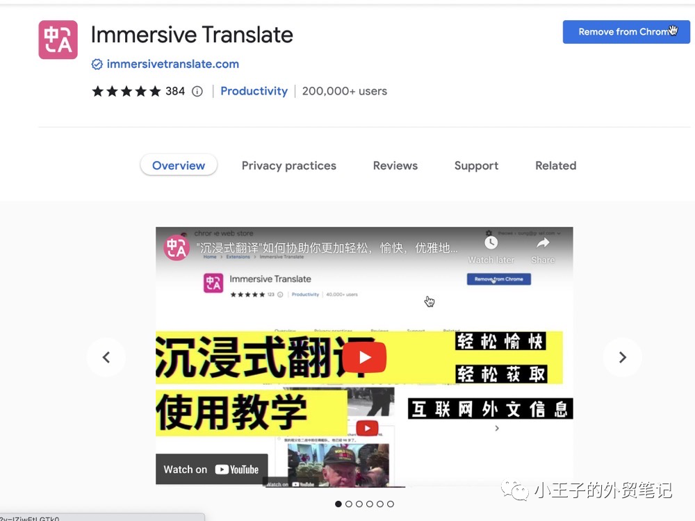 外贸人必备插件分享：Immersive Translate 沉浸式翻译-雨果网