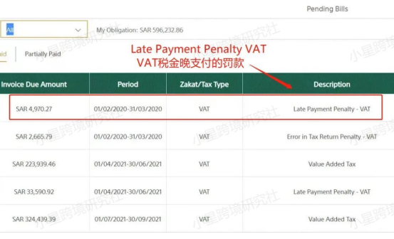 Amy聊跨境：沙特VAT注册申报缴税指南！如何降低被罚款风险？-雨果网